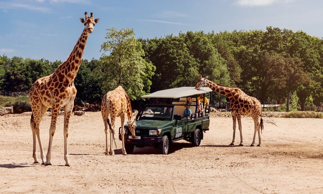 Camping Lake Resort Beekse Bergen - Oisterwijk