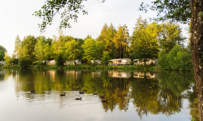 Camping L'etang De Sologne - Sologne