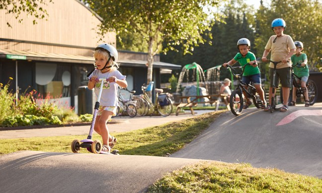 Village Vacances Rcn De Roggeberg - Frise