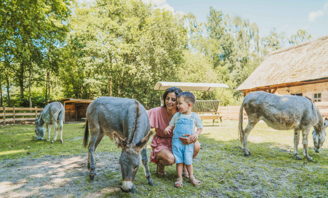 Village Vacances Dierenbos - 's-Hertogenbosch
