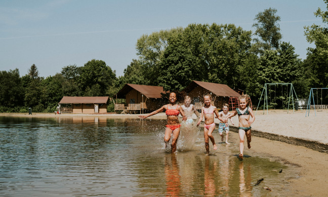 Ferienpark Dierenbos - Limburg