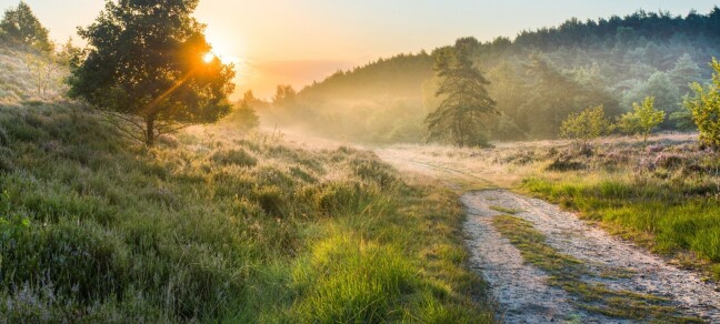 San Lanaco - Maastricht