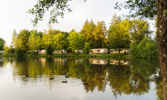 Camping L'etang De Sologne - Sologne