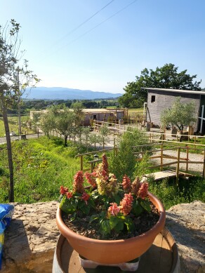 Viovillas Country House Arezzo - Riccione