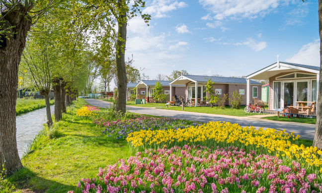 Familie Resort Molenwaard - Zuid-Holland
