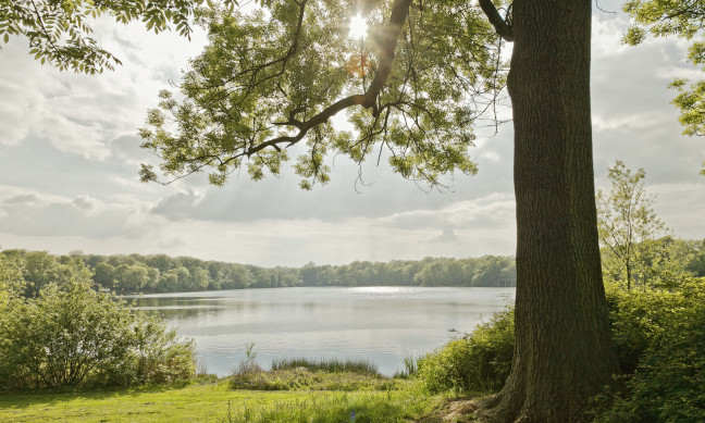 Knaus Campingpark Leipzig - Leipzig