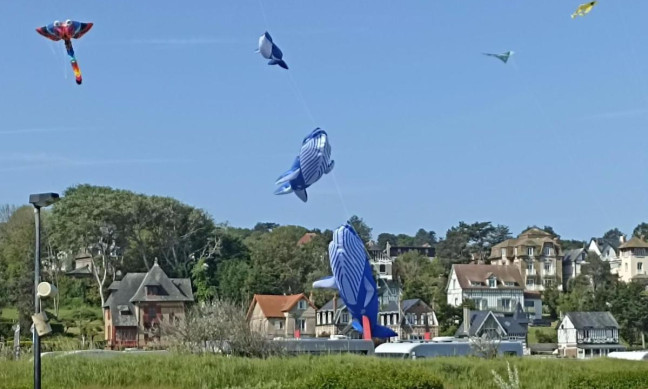 Camping Seasonova Le Domaine Saâne Et Mer - Haute-Normandie